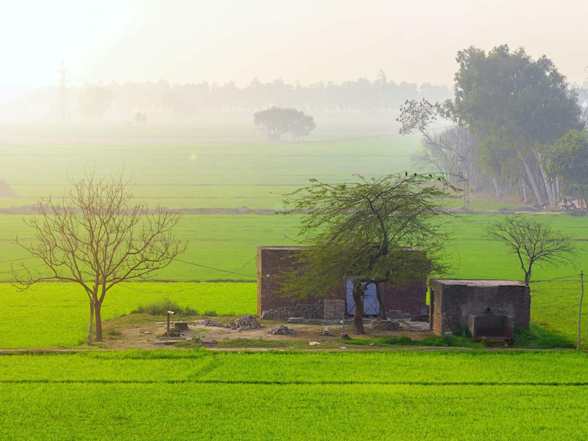 Cheap Flights From Tamale To Sialkot From | TML - SKT | sa.wego.com